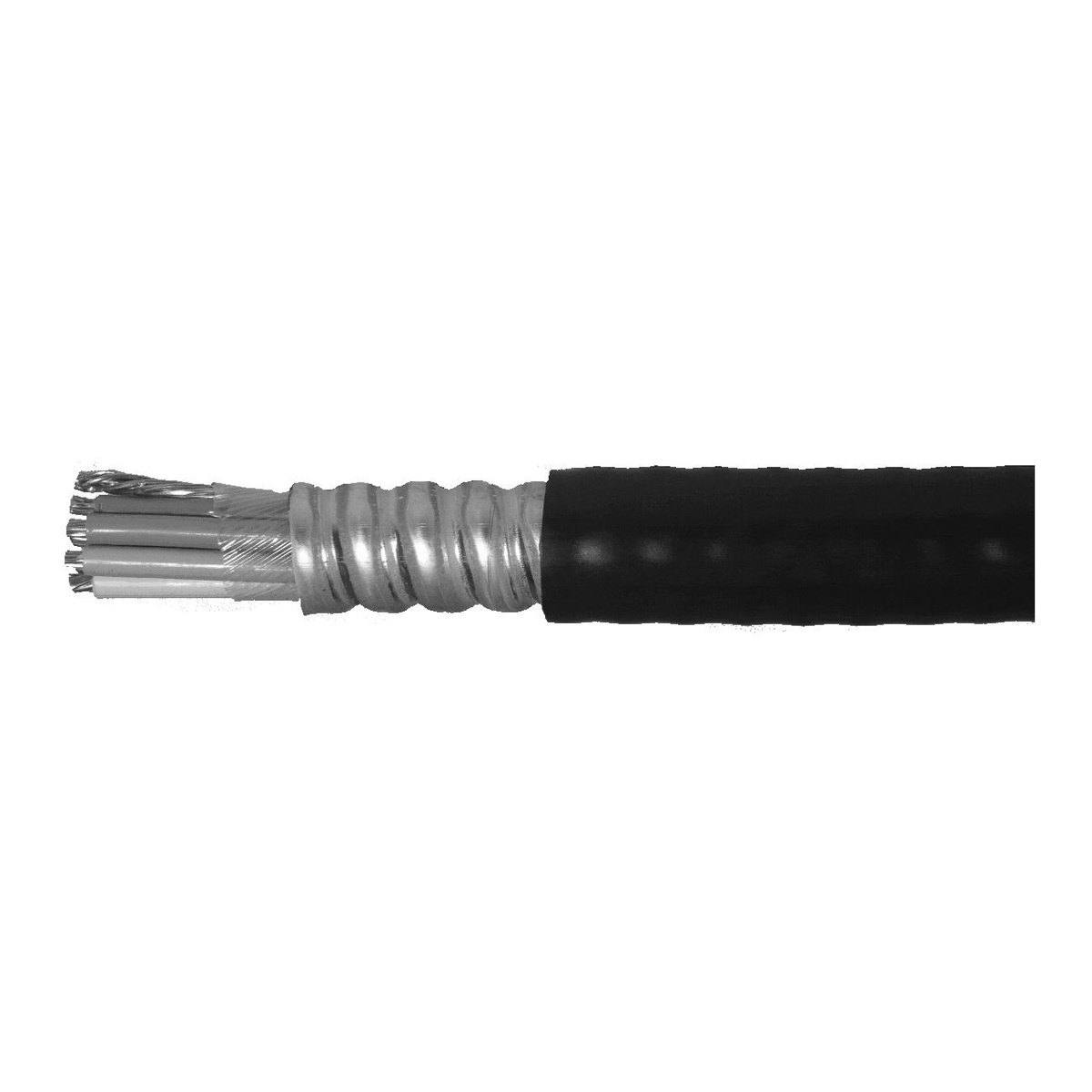Generic Brand | Armored Cable Hazardous Rated MC Cable 12/7 Stranded ...